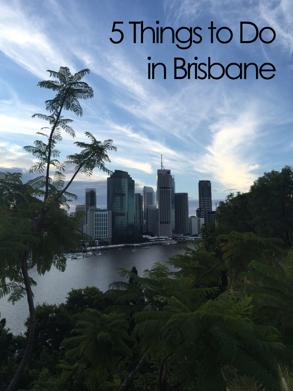 5 Things to do in Brisbane