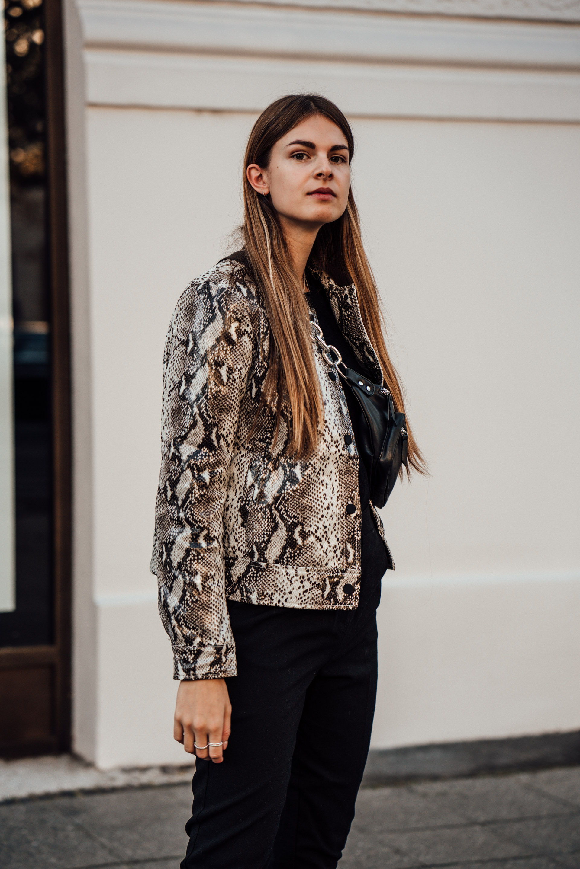 How to wear snake print this autumn || Fashionblog Berlin