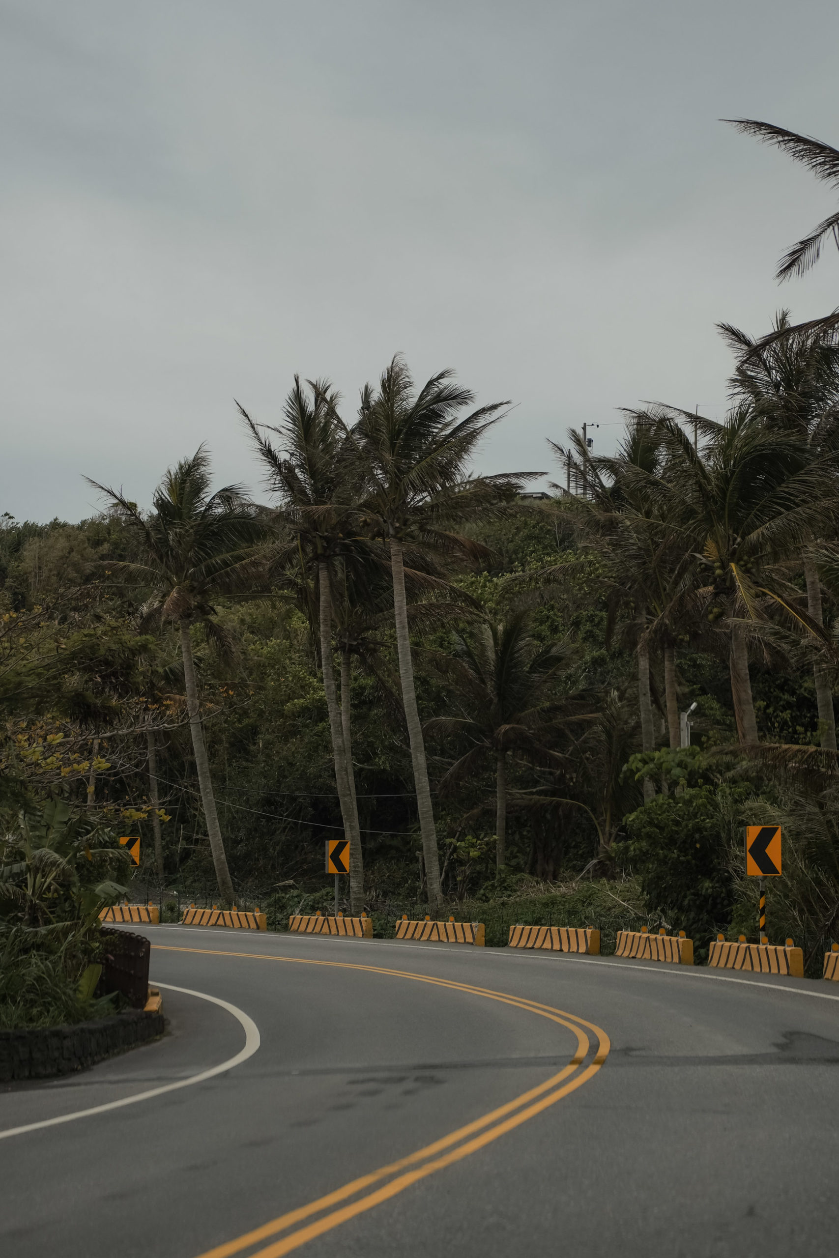The Ultimate Guide: What You Need to Know About a Road Trip Along ...